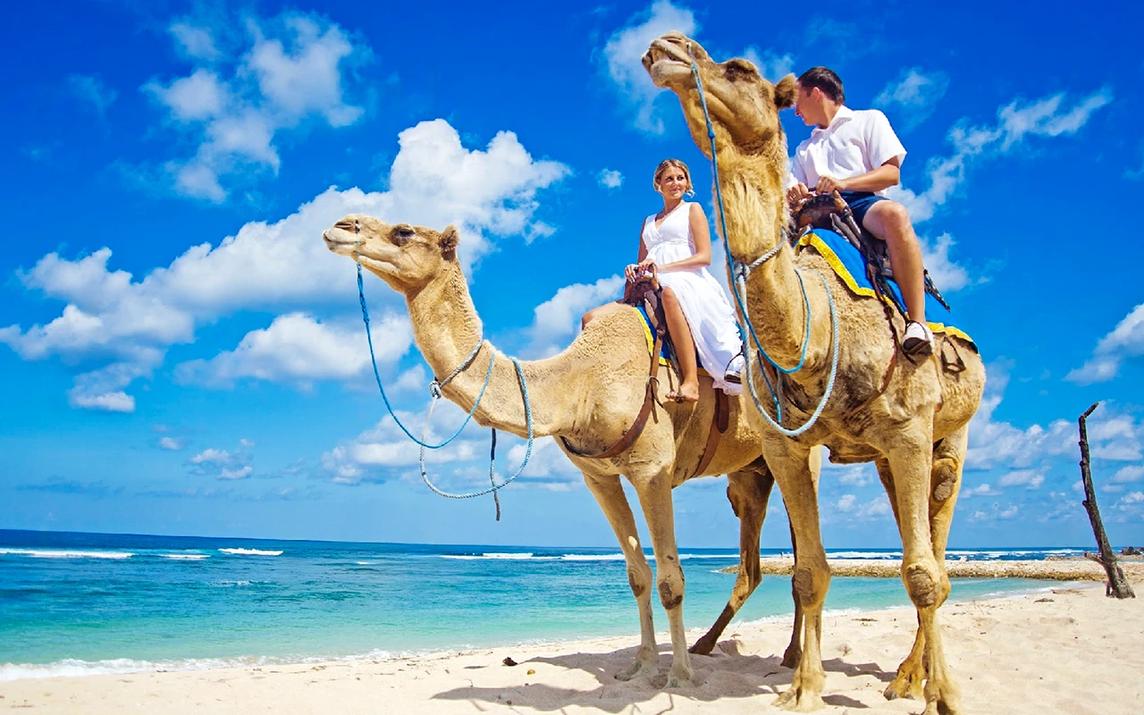 Camel riding at the beach - Cabo Fun Adventures