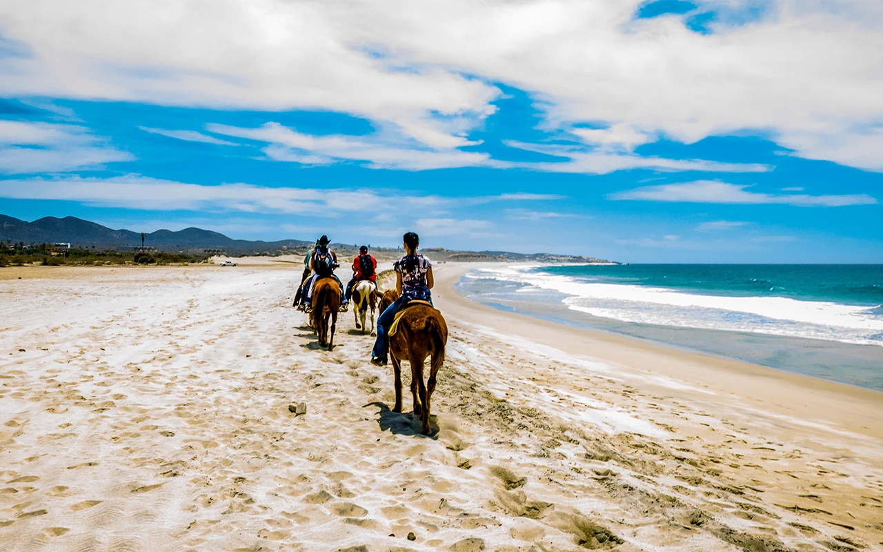 Horseback riding at the beach - Cabo Fun Adventures