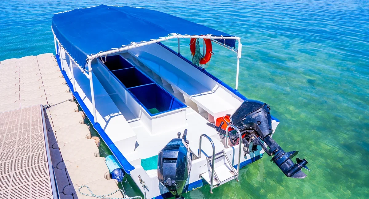 Glass Bottom Boat Tour - Cabo Fun Adventures